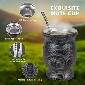 9Oz Yerba Mate Cup, Yerba Mate Gourd Set-Stainless Steel Modern Mate Cup, 2 Bombilla Mate Straws, Cleaning Brush and BPA Free Lid, Double-Walled and Hot&Cold Drink, Mate Gourd for Mate Tea, Coffee