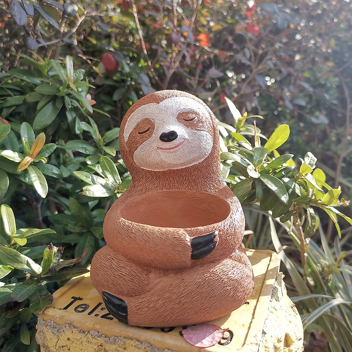 AIPOGOOIN Air Plants Holders Unique, Sloth Gifts for Women Plant Lovers Gardeners Coworkers Girls, Cute Sloth Decor for Home Office Desk