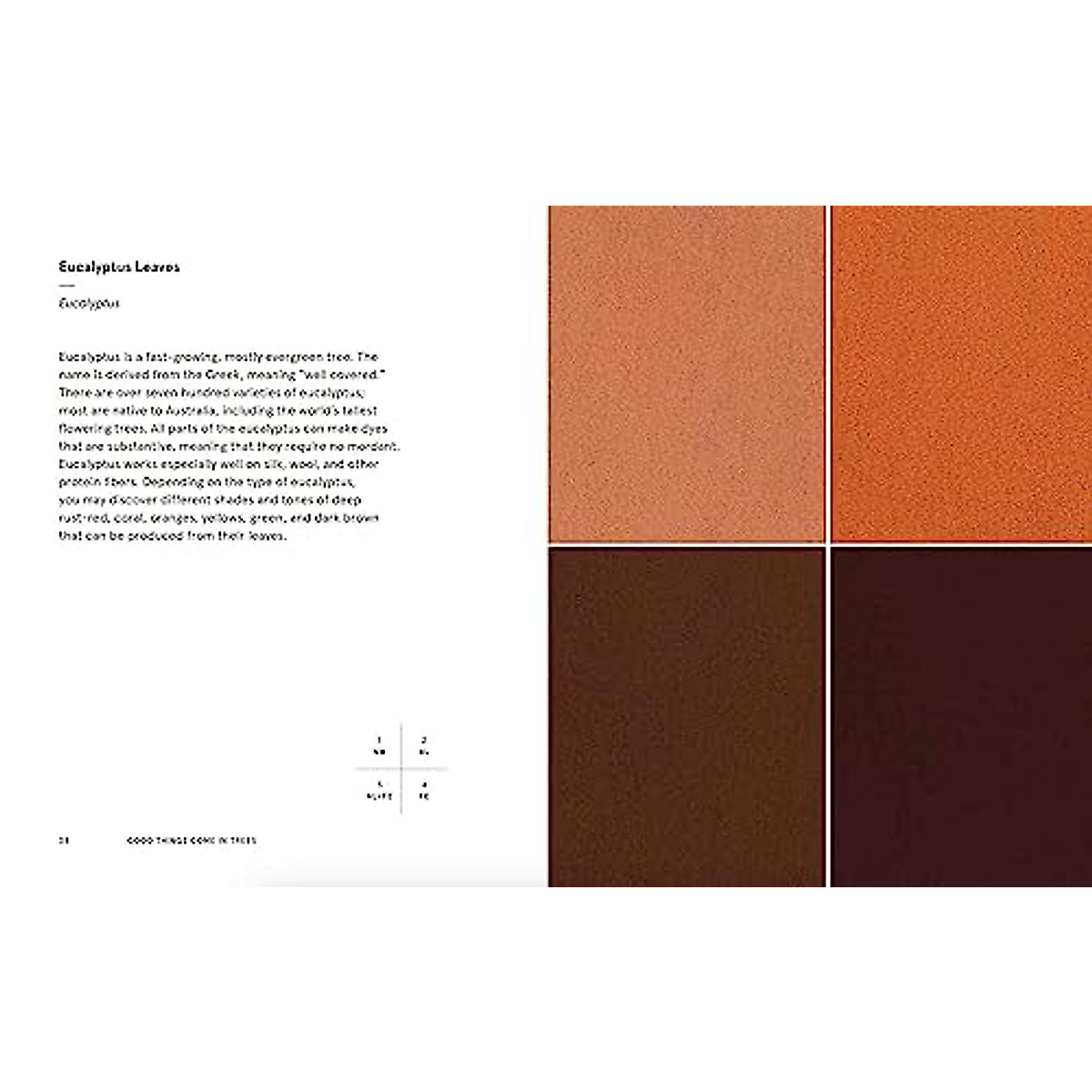 Natural Palettes: Inspiration from Plant-Based Color