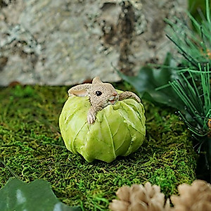 Top Collection Miniature Fairy Garden and Terrarium Rabbit Stuck in Cabbage Statue