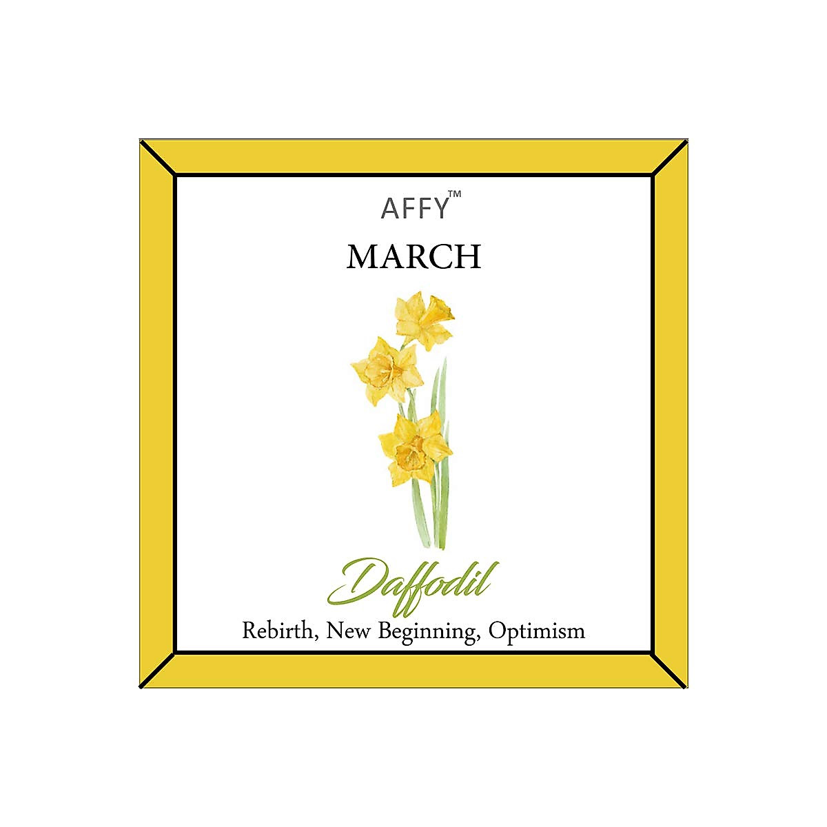 AFFY March Birth Month Daffodil Flower Disc Pendant Necklace In 18k Yellow Gold Plated Jewelry for Womens 18" Chain