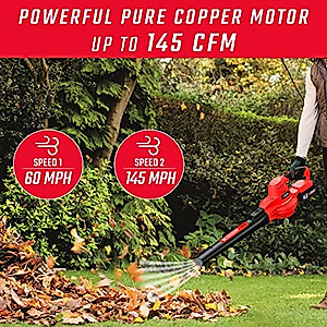 Leaf Blower, VOLTKORE 20V Cordless Leaf Blower, Electric Battery Powered Leaf Blower for Blowing Leaves, Dust in Lawn, Patio, Jobsite...(Quick Charger & 2 Battery Included)