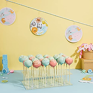 Cal's Cake Pops Premium 24 Hole (2 Dozen) Large Cake Pop Display Stand | Wider Spacing & Holes | Extra Support for 6'' OR 8'' Cake Pop Sticks, Clear