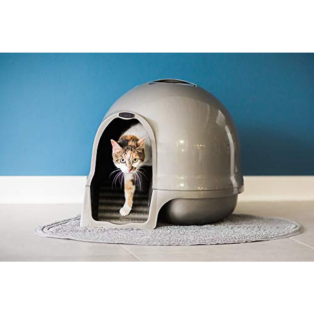 Petmate Booda Clean Step Cat Litter Box Dome (Made in the USA with 95% Recycled Materials)- Brushed Nickel