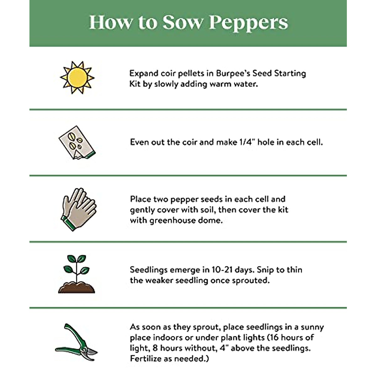 Burpee Big Daddy Sweet Pepper Seeds 40 seeds