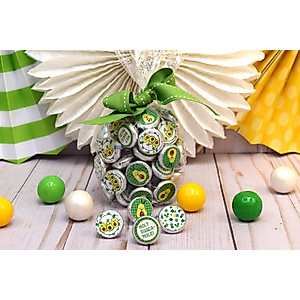 Holy Guacamole Trio of Avocados Birthday Kiss Sticker Labels for Kids, 300 Party Circle Sticker Sized 0.75” for Chocolate Drop Kisses by AmandaCreation, Great for Favors, Treats, Envelopes & Bags