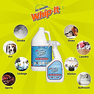 Whip-It Odor Bully Instant Odor Neutralizer Spray - Stain Remover and Odor Eliminator for Home and Car in One - Gallon and 32oz Spray
