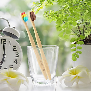 NUDUKO Biodegradable Bamboo Toothbrushes, 10 Piece BPA Free Soft Bristles Toothbrushes, Natural, Eco-Friendly, Green and Compostable (Multicolored Bristles)