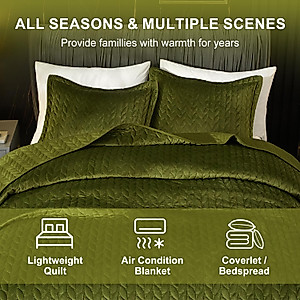 Ivellow Velvet Quilt Queen Size Green Lightweight Velvet Comforter Set Oversized Bedspread Coverlet Full for All Season 3Pcs Luxury Quilted Bedding
