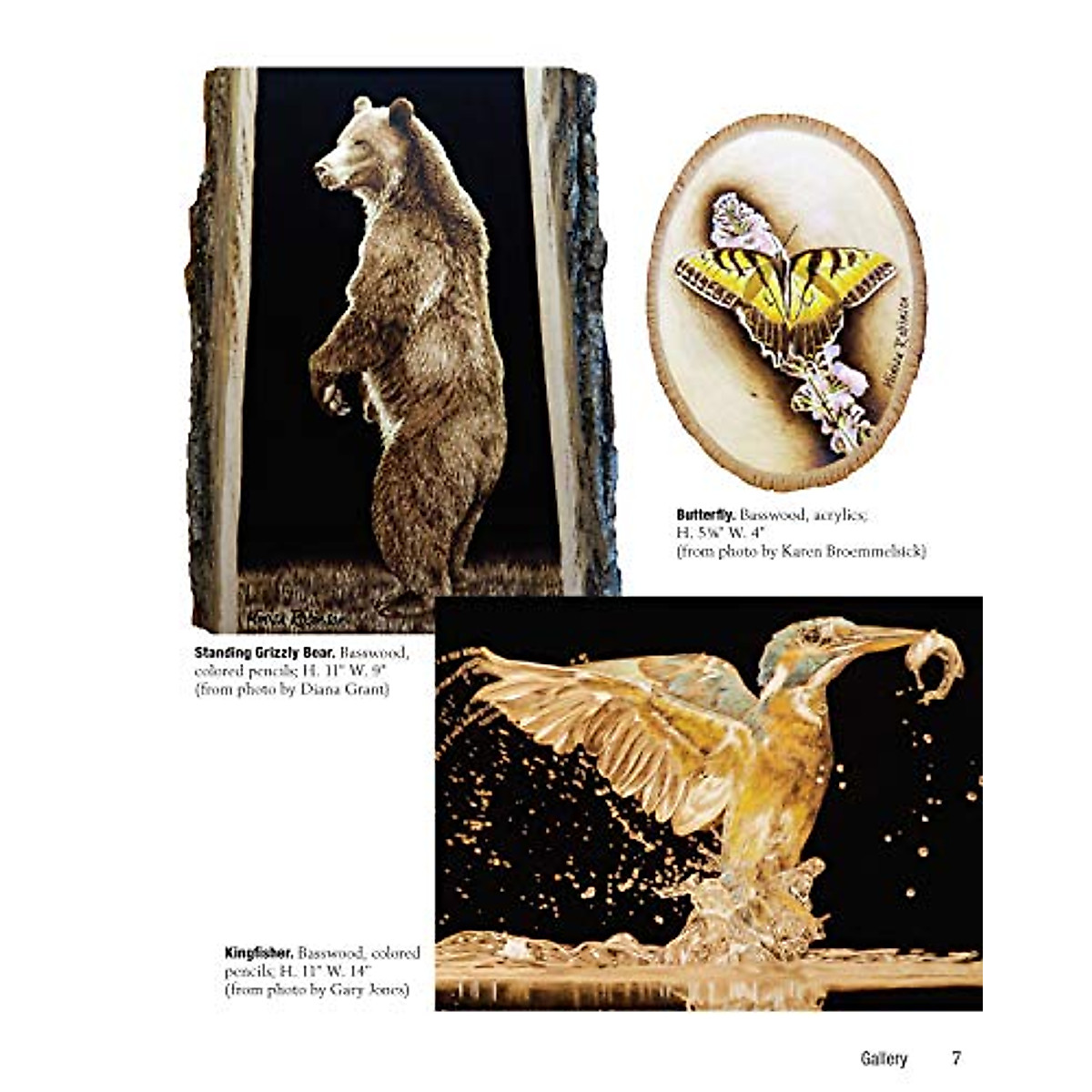 Woodburning Realistic Animals: 12 Step-by-Step Pyrography Projects of Birds, Pets, and Wildlife (Fox Chapel Publishing) Tutorials for Eyes, Fur, Manes, & Whiskers; Projects for Big Cats, Owls, & More