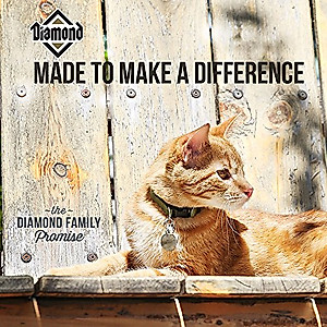 Diamond Adult Dry Cat Food Maintenance Formula with Protein, Probiotics and Antioxidants