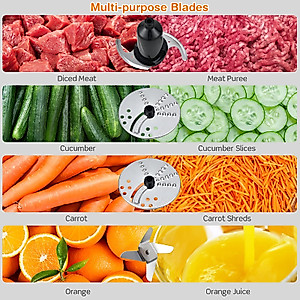 COSTWAY Food Processor & Blender, 500W Professional Food Chopper with 3 Blades, 3-Speed Adjustment, Dual Safety Lock Design, Large Capacity Bowls, for Crushing, Slicing, Shredding, Juicing