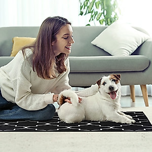 Kitchen Rugs Kitchen Mat Set of 2 Kitchen Rug Non-Slip Kitchen Rugs and Mats 47.3x17.3/31.5x17.3 Inch Floor Mat Doormat Runner Rug for Kitchen, Laundry, Living Room, Bedroom, Bathroom, Front Door