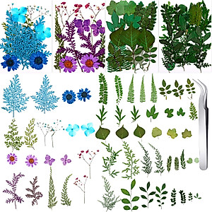 109 Pieces Real Dried Press Flowers Set, Natural Pressed Dry Flowers Leaves Mixed Multiple Dried Flowers with Tweezers for Craft DIY Candle Resin Jewelry Nail Pendant Making Supplies