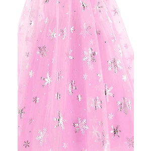 Party Chili Pink Princess Dress Costumes Birthday Dress Up for Little Girls with Crown,Mace,Gloves Accessories