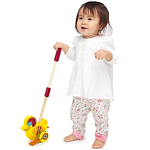 Imagination Generation Radical Racers 4-Pack Bundle, Push-Along Walking Toys and Storage Stand with Attitude – Includes Bunny, Penguin, Duck, & Chicken