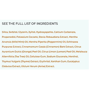 Japanese Style Toothpaste, RiseWell, Natural