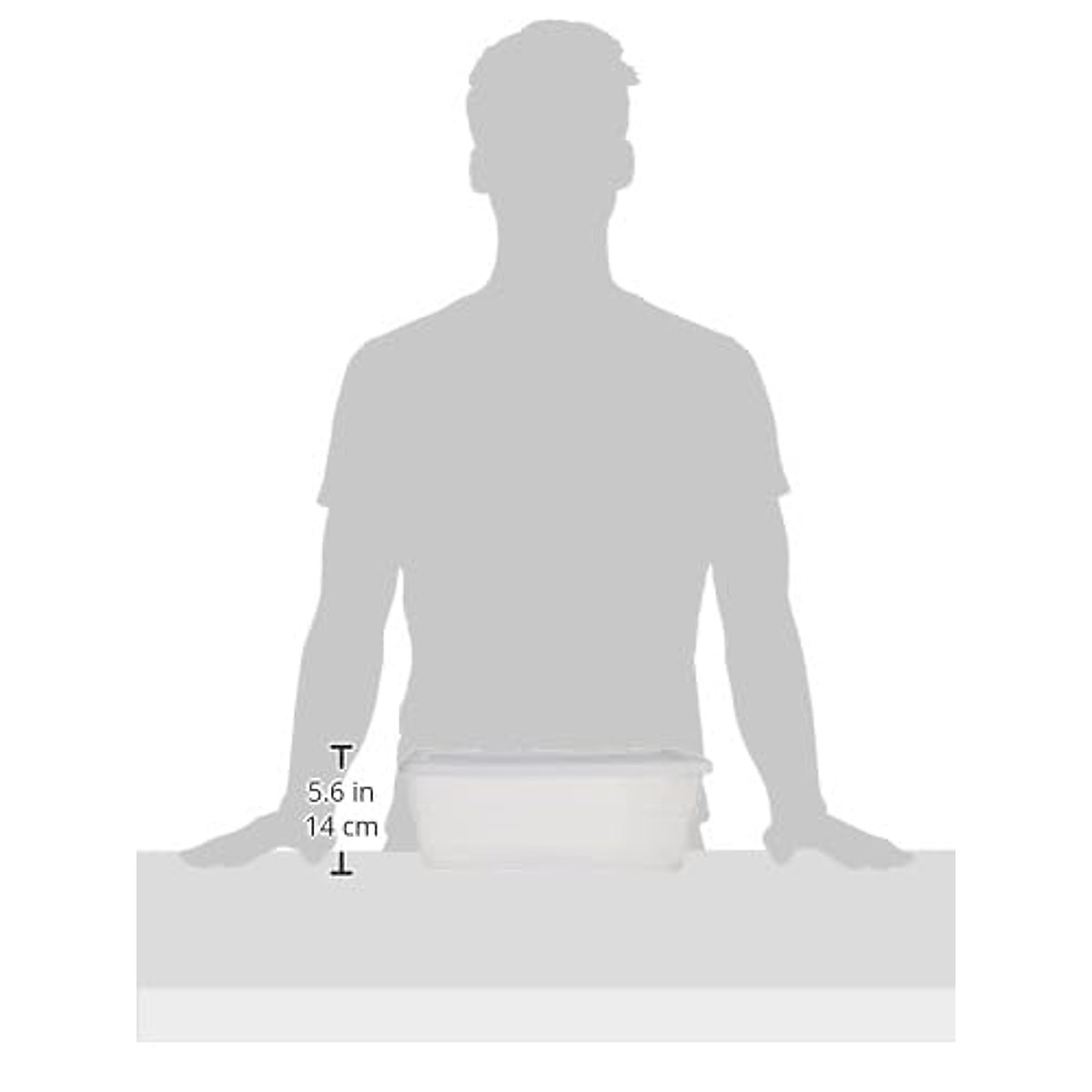 Sterilite Box Storage, 1 Pack