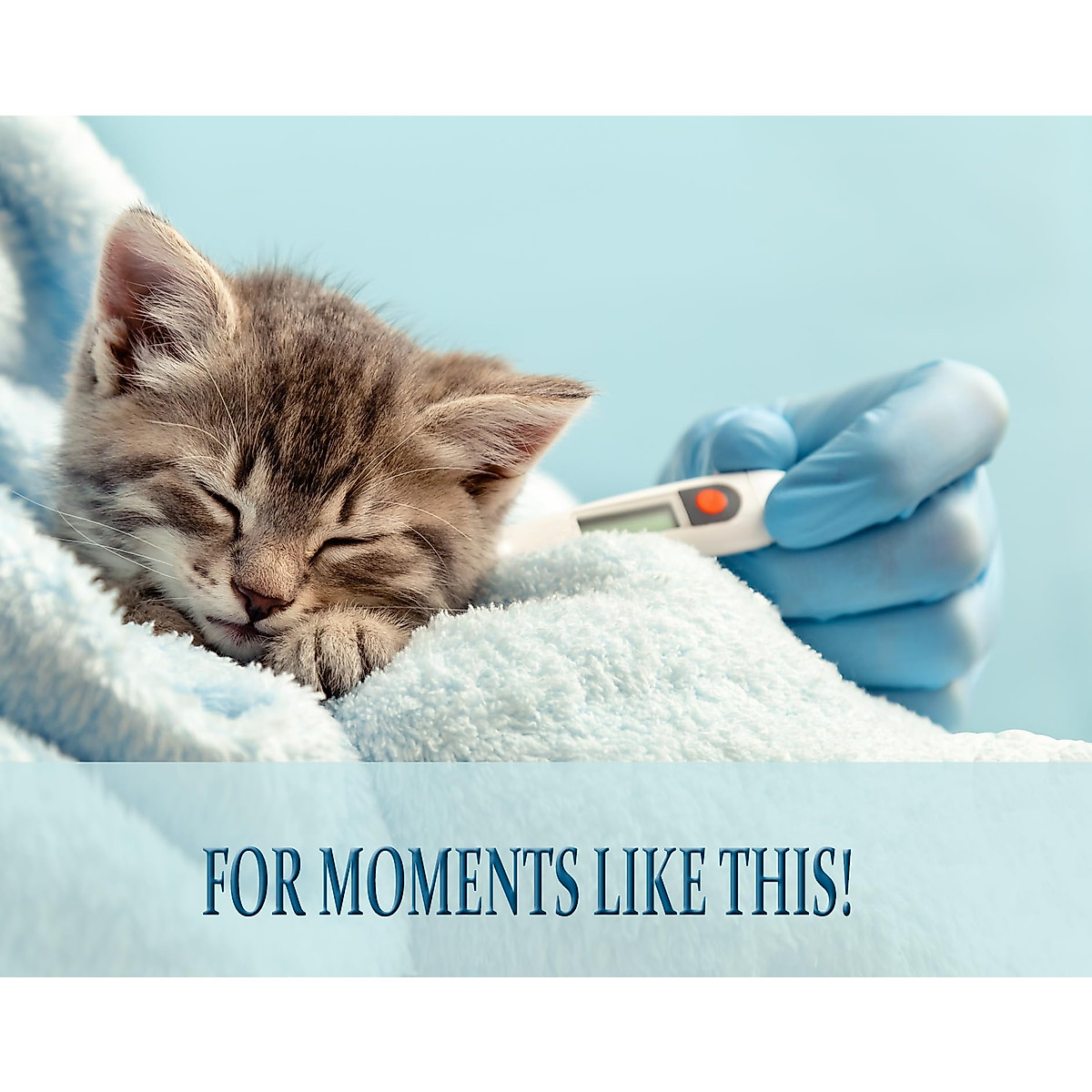 Optimum You Colloidal Silver Liquid for Pets, Dogs, Cats | 500 ppm, Extra Strength (8 oz) | Spray & Drops | Hot Spot & Itch Relief | Wound Care | Immune Support