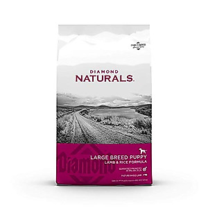 Diamond Naturals Dry Food for Puppy, Large Breed Lamb and Rice Formula, 40 Pound Bag