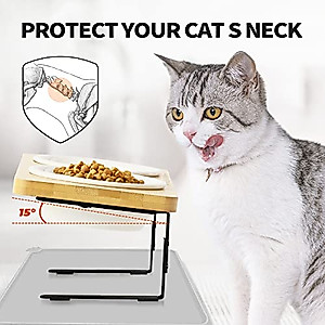 PEJOYT Elevated Cat Ceramic Bowls - Adjustable Tilted Bamboo Raised Dog Bowls for Small Dogs Pet Food and Water Dish Feeder with Stand