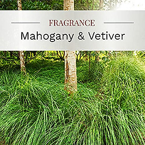 Essential Elements by Candle-lite Scented Candles, Mahogany & Vetiver Leaf Fragrance, One 14.75 oz. Three-Wick Aromatherapy Candle with 45 Hours of Burn Time, Off-White Color