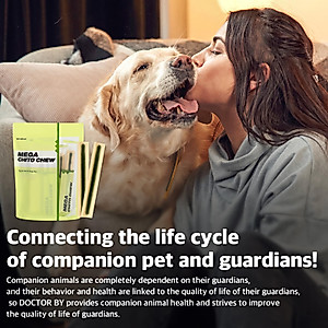 Doctor By MegaChitoChew - Dog Dental Chew - Dog Bully Sticks for Large Dogs and Medium Dogs, 7 Sticks, 6 inches, Odor Free Bully Sticks for Dogs, Cleans Teeth and Control Plaque