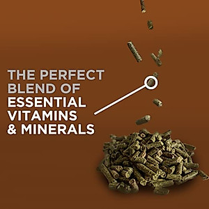 Formula 707 Daily Essentials Equine Supplement, 6lb Bucket – Complete Vitamins and Minerals for Superior Health and Condition in Horses