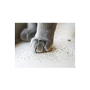 Meowijuana Whisker Tickler Catnip, Chamomile & Dandelion Blend for Cats, .917 oz., Medium