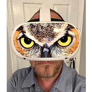 Owl Decal for Meta/Oculus Quest 2 VR Headset - Glossy Vinyl Sticker