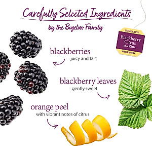 Bigelow Tea Blackberry Citrus Plus Zinc Herbal Tea, Caffeine Free, 18 Count Box (Pack of 6), 108 Tea Bags Total