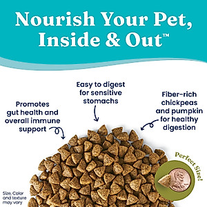 Solid Gold Sensitive Stomach Dog Food for Adult & Senior Dogs - Made with Real Quail, Chickpea & Pumpkin - Wild Heart Grain Free Dry Dog Food for Digestive Health and Immune Support