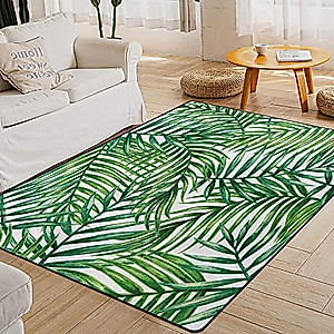 Soft Rugs Fluffy Carpets, Rugs for Living Room Bedroom Hallway Modern Home Decor, Non-Slip Washable Carpet, 2x4ft/0.6x1.2m