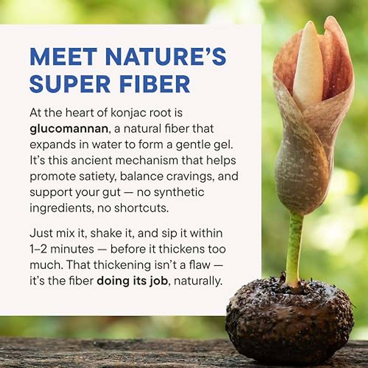 Daily Nouri FeelFull Prebiotic Fiber Drink Mix with Glucomannan & Chromium | for Natural Feeling of Fullness, Appetite & Cravings Support, Gut Microbiome & Metabolic Health | 30 Stick Packs