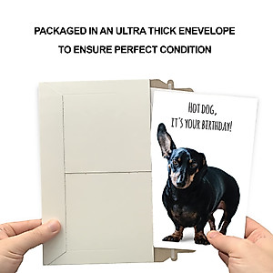 Prime Greetings Funny Dog Birthday Card Pun With Wiener, Made in America, Eco-Friendly, Thick Card Stock with Premium Envelope 5in x 7.75in, Packaged in Protective Mailer