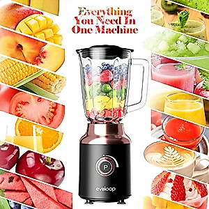 Evoloop Glass Blender, Countertop Blender, 750 Watt High Speed Smoothies Blender with 6 Blade System for Shakes, 50 oz Glass Jar, Self Cleaning
