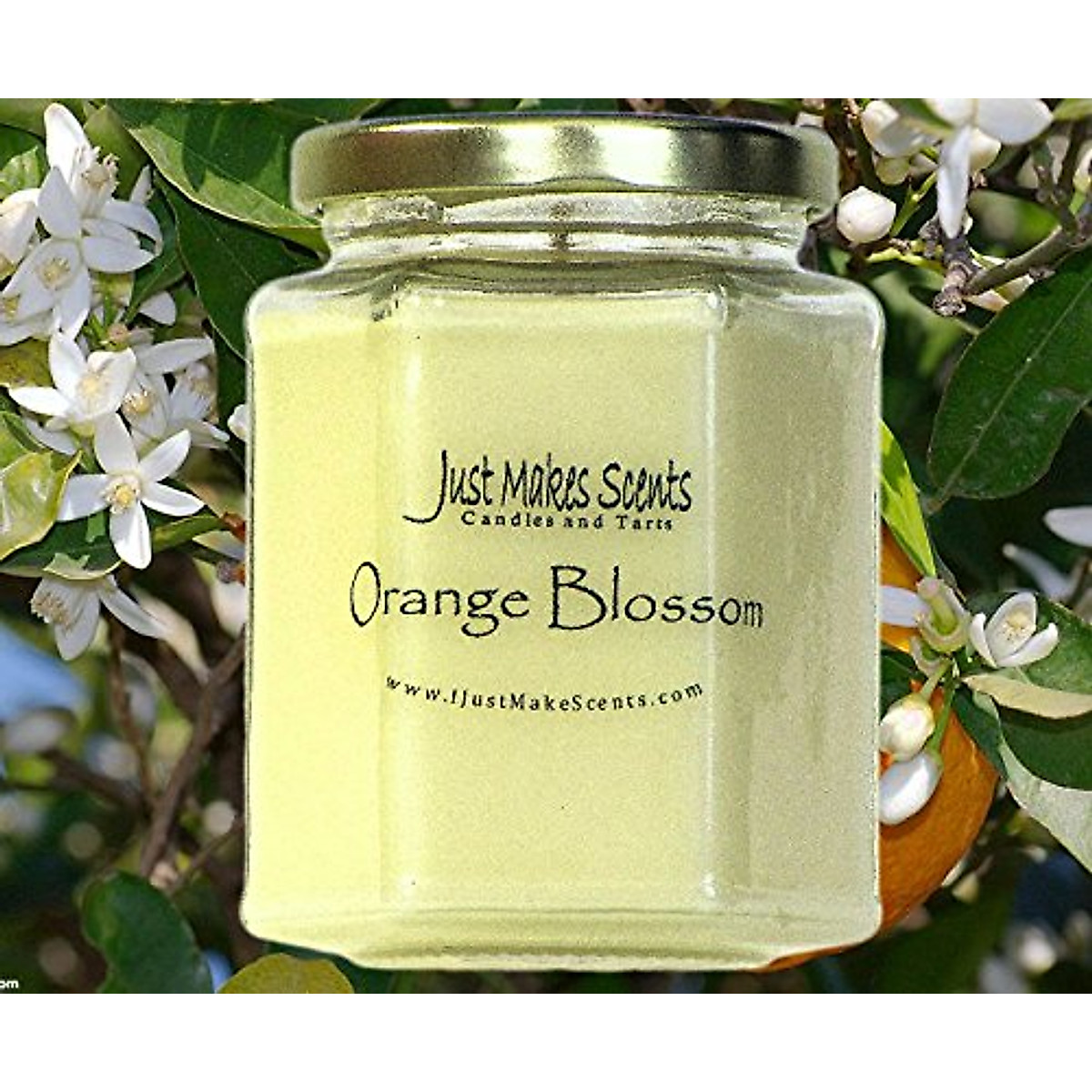 Orange Blossom Scented Blended Soy Candle | Strong Spring Floral Fragrance | Hand Poured in The USA by Just Makes Scents (8 oz)