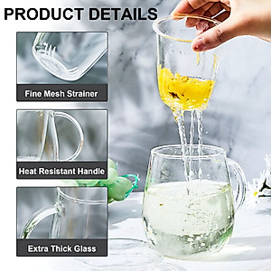 Rtteri Set of 2 Glass Tea Cup with Infuser and Lid 17.6 oz Clear Glass Mugs Thickened Glass Tea Infuser Cup Simple Filtration Teacups for Tea Bag Loose Leaf Tea Blooming Tea