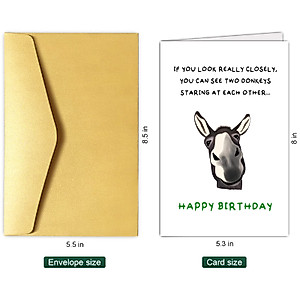 Chenive Funny Donkey Birthday for Him Her, Quirky Birthday Card for Friend Brother Sister, Humorous Birthday Greeting Card for Men Women, Two Donkeys Staring at Each Other