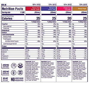 ODYSSEY ELIXIR Sparkling Mushroom Drink with Lions Mane and Cordyceps Adaptogenic Mushrooms, L Theanine and Green Tea Caffeine for Energy and Focus, 12 Fl oz, Variety Pack, 12 Cans