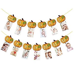 Rainlemon Pumpkin Photo Banner Fall Autumn Little Pumpkin Boy Gril 1st Birthday Party Photo Garland 12 Months Photo Prop