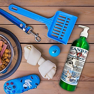 Premier Omega Fish Oil Supplement by Iceland Pure | Wild Caught | 3053mg of Omega-3 per teaspoon | For Large Dog Breeds | Ethyl Ester Distillation | Pump Bottle BPA Free Brushed Aluminum 17Oz