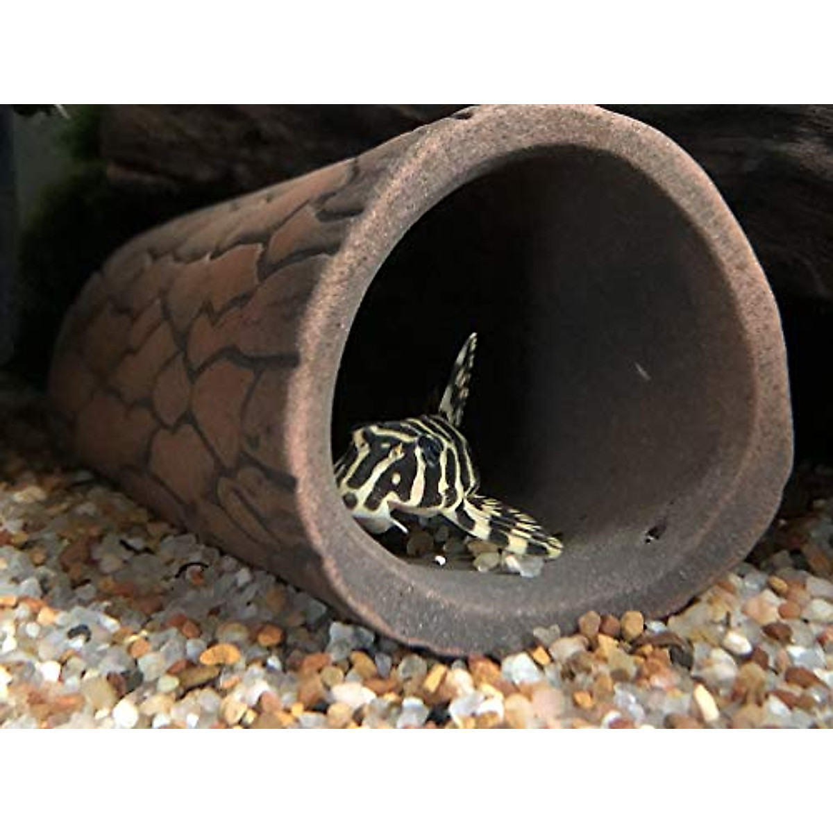 Plecoceramics Aquarium pleco breeding cave Fish Tank Decorations Small Size