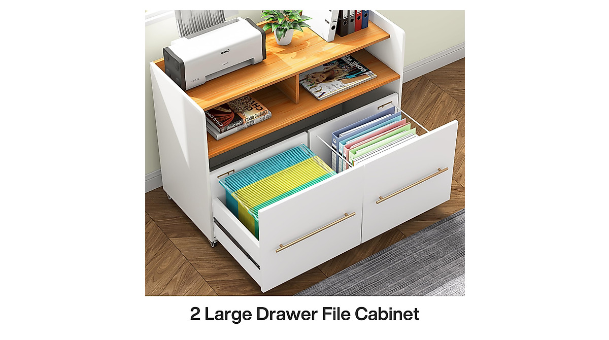 Tribesigns 2 Drawer File Cabinet Rolling Filing Cabinets for Home Office White lateral File ...