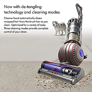 Dyson Ball Animal 3 Upright Vacuum Cleaner