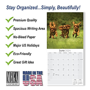 2023 2024 Cavalier King Charles Calendar - Dog Breed Monthly Wall Calendar - 12 x 24 Open - Thick No-Bleed Paper - Giftable - Academic Teacher's Planner Calendar Organizing & Planning - Made in USA