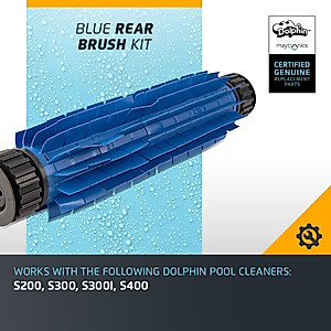 Dolphin Genuine Replacement Part — Rear Blue Brush Kit — 99955381-ASSY