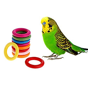HELYZQ 10 Pcs/Set Wooden Ring Parrot Toys Bite Chew Play Natural Colorful Rings Decoration Birds Parakeet Toy DIY Accessories