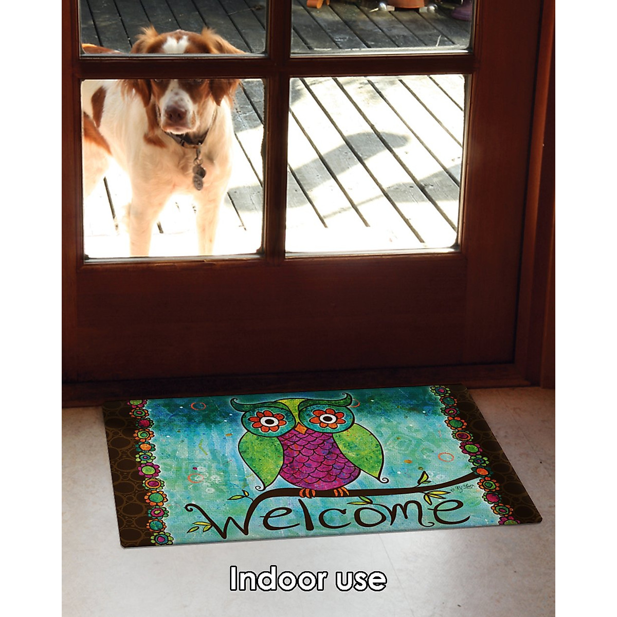 Toland Home Garden 800004 Rainbow Owl Welcome Door Mat 18x30 Inch Bird Outdoor Doormat for Entryway Indoor Entrance