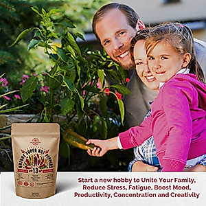 13 Rare Hot Chili Pepper Seeds Variety Pack for Planting Indoor & Outdoors. 650+ Non-GMO Bulk Pepper Garden Seeds Kit: Jalapeno, Cayenne, Serrano, Habanero, Pasilla Bajio, Santa Fe, Fresno & More